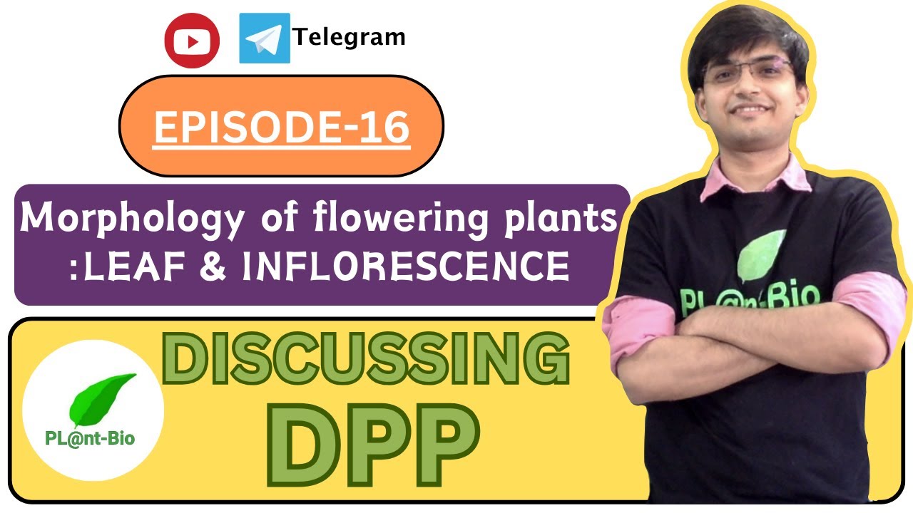 Discussing DPP-Morphology of flowering plants: Leaf & Inflorescence ...