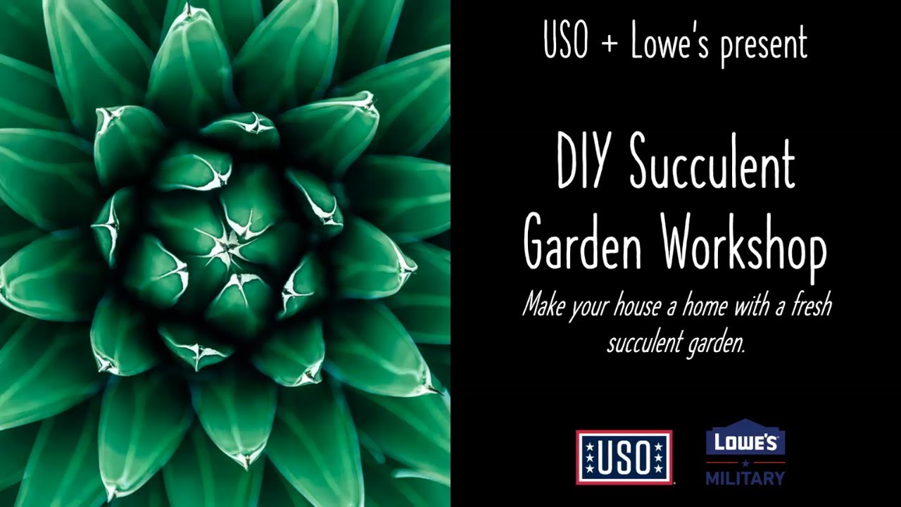 DIY Succulent Garden Workshop | USO + Lowes - YouTube
