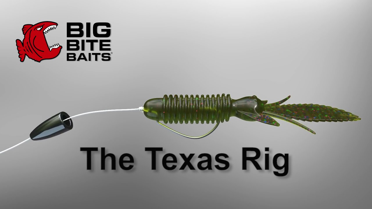How To Texas Rig - YouTube
