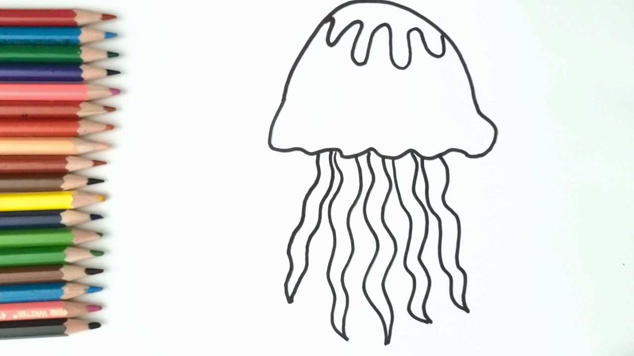 Cómo Dibujar Una Medusa Paso A Paso COMO DIBUJAR UNA MEDUSA KAWAII