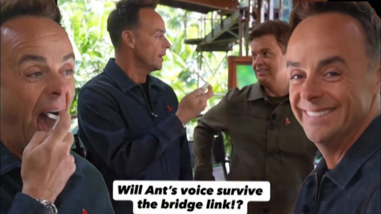 If anyone finds Ant_s voice_ please return it to lost property Ant ...
