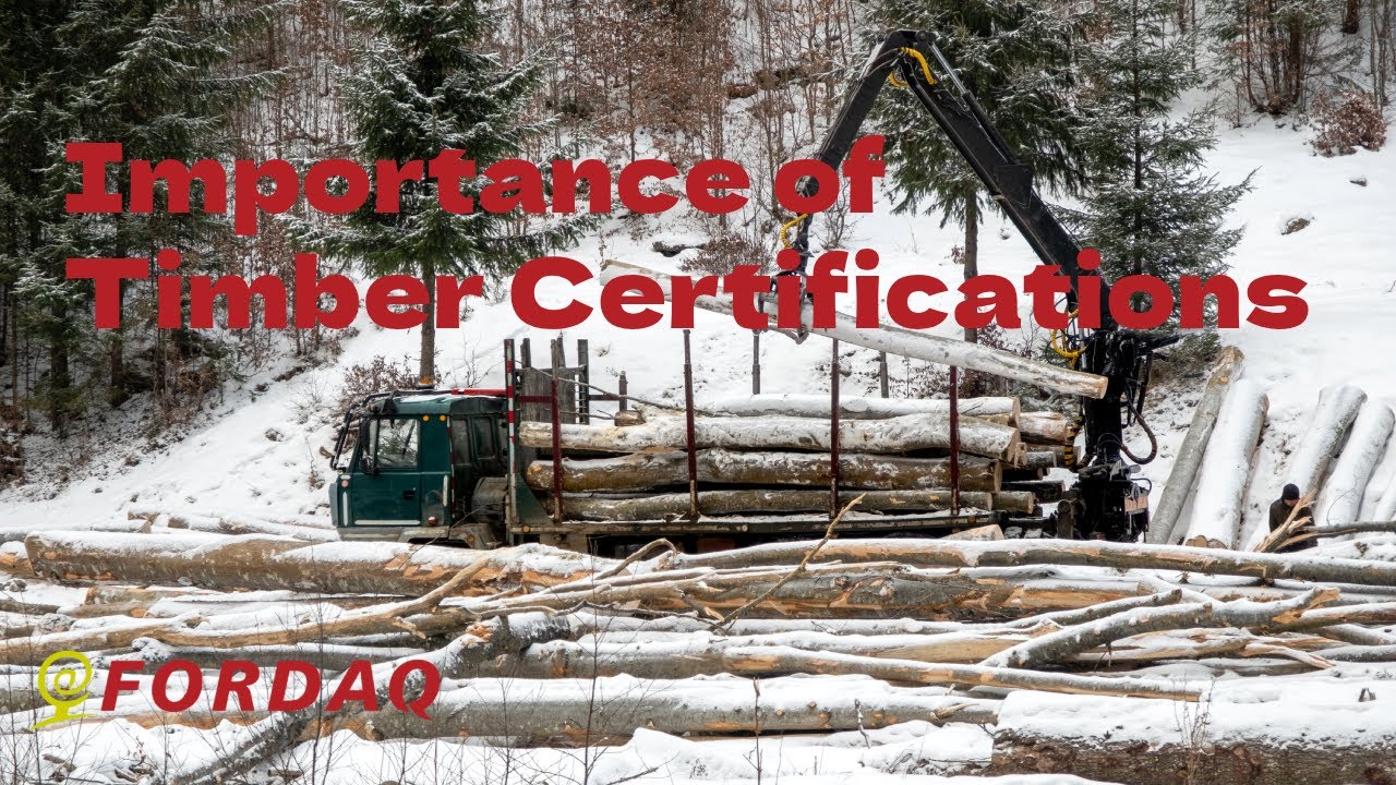 🌿 Do You Know the Importance of Timber Certifications? 🌿 - YouTube