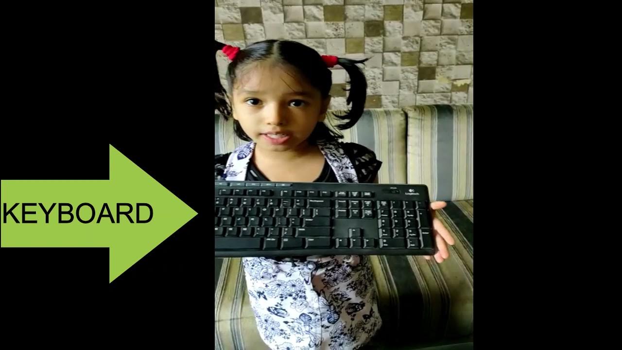 What are Computer Hardwares? || Hardware and Software || Class-3 ...