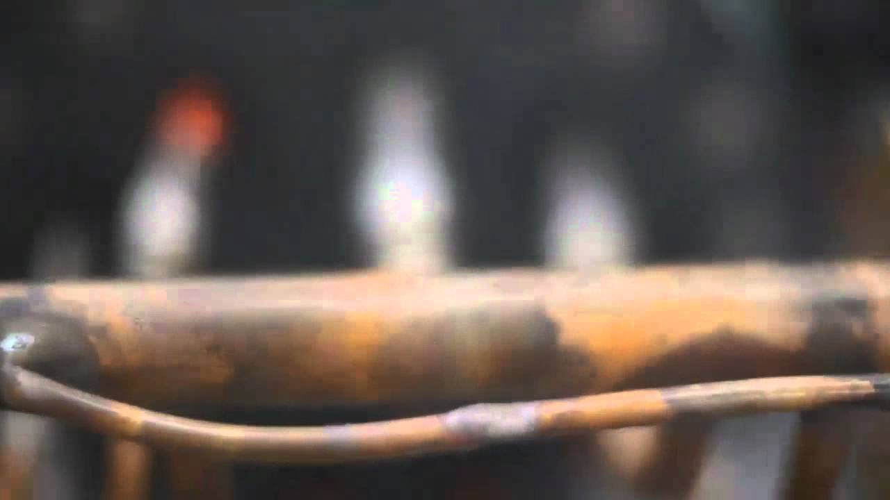 TEDxStHilda'School - Russell Manfield - Grazing a New Menu - YouTube