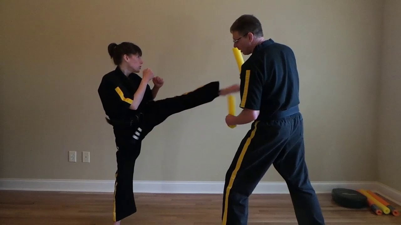 Roundhouse - Back-fist - Reverse Punch Challenge - YouTube