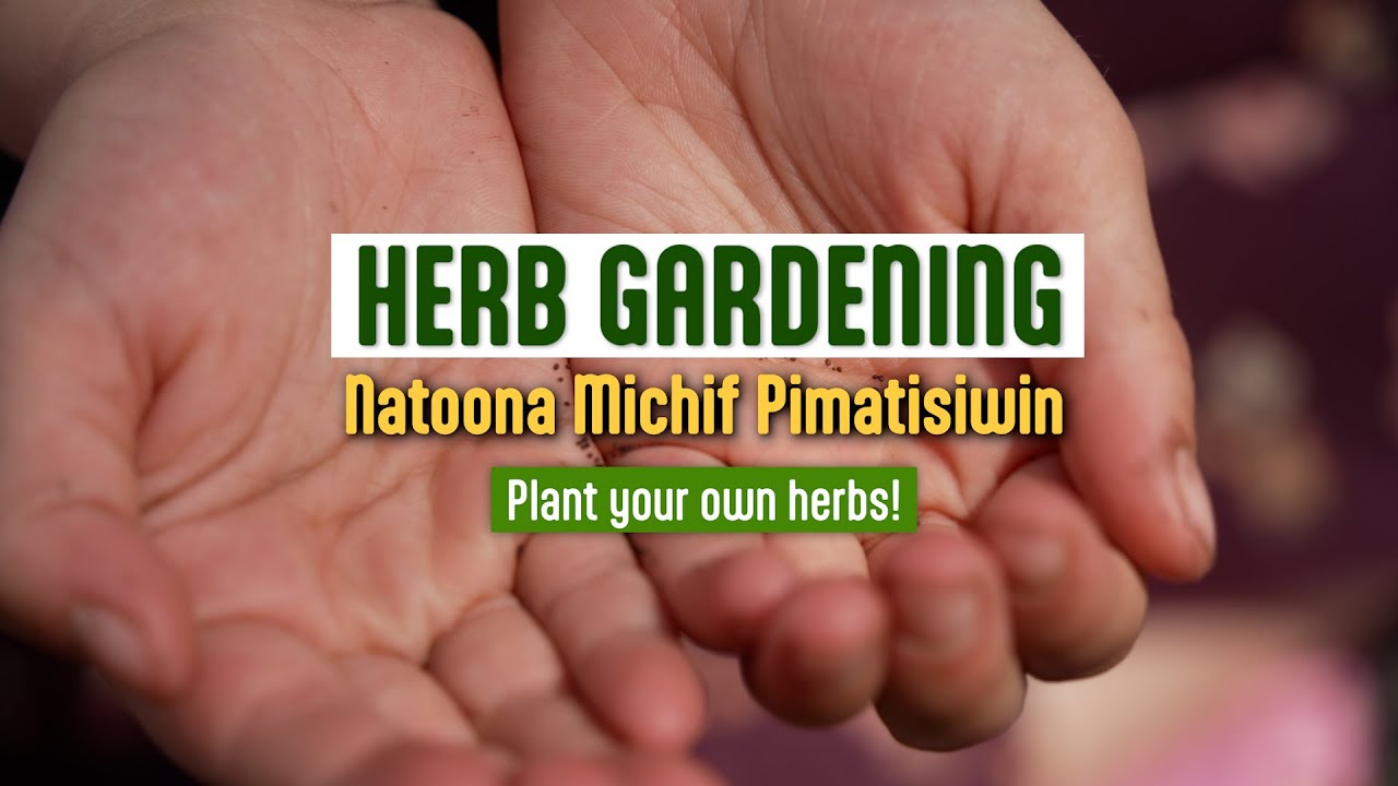 Learn At Home Kit: Herb Gardening — Exploring Metis Culture - YouTube