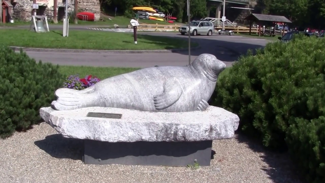 Andre the Seal Statue Rockport, Maine - YouTube