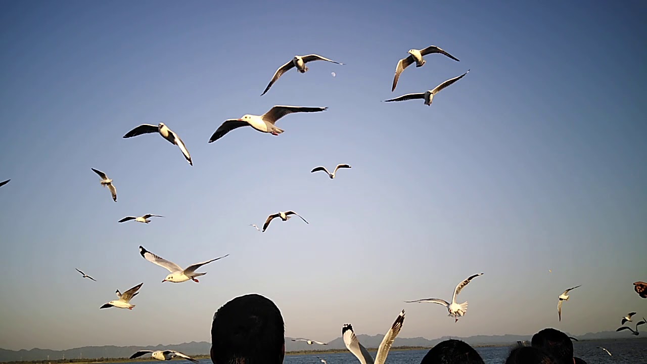 #beautiful saint martin ship with bog pakhi - YouTube