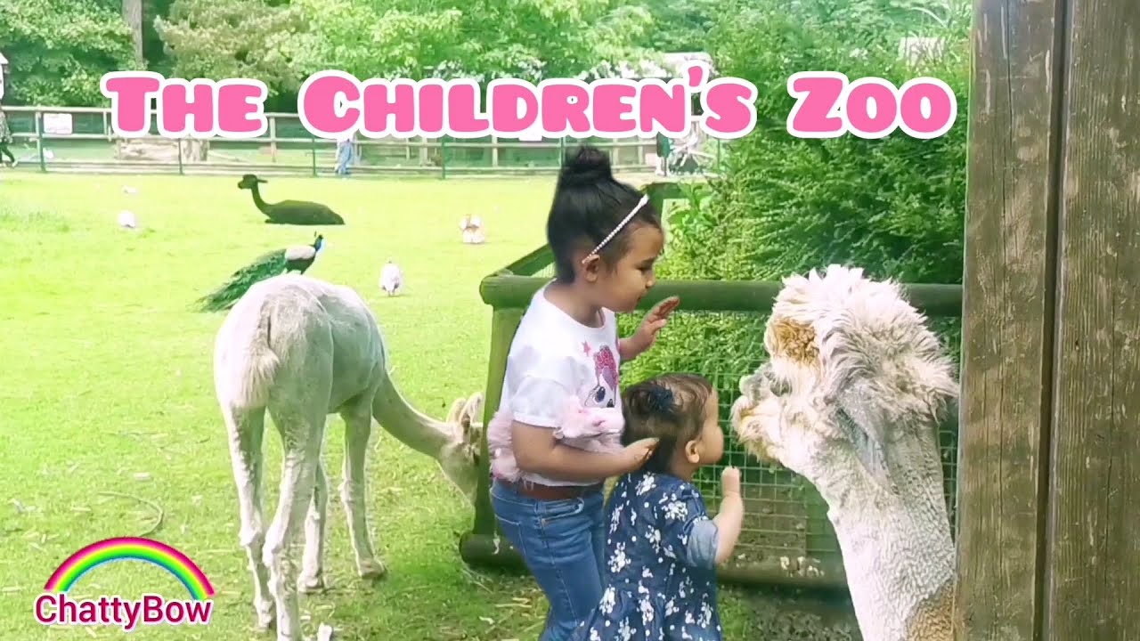 Animals at the Children's Zoo | Walton hall and Gardens - YouTube