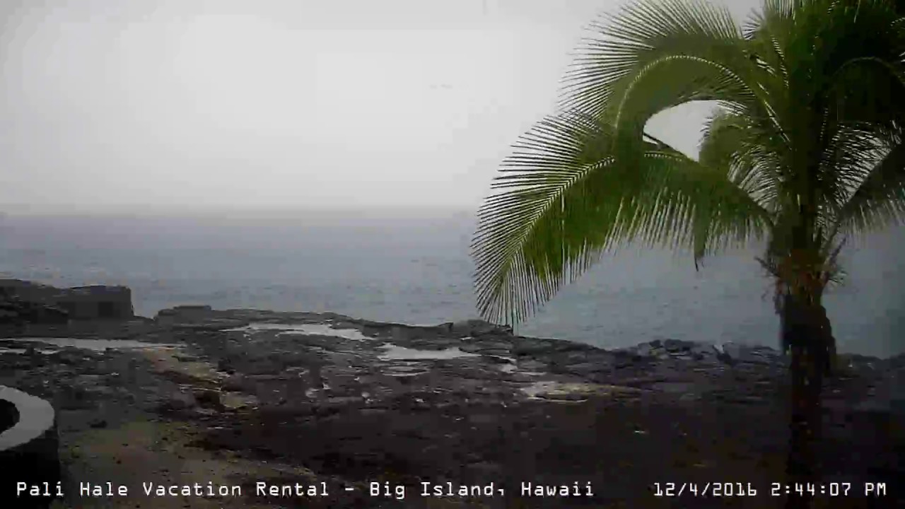 Pali Hale Live Stream from Puna Coast of Kea'au, Big Island Hawaii ...