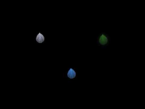 Flower Gif ( 🥀🥀🥀 83 )