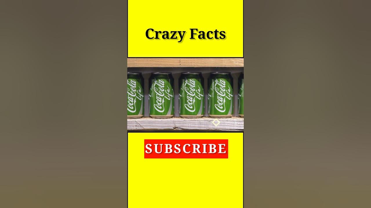 Best Facts Amazing Facts YouTube best-facts-amazing-facts-youtube