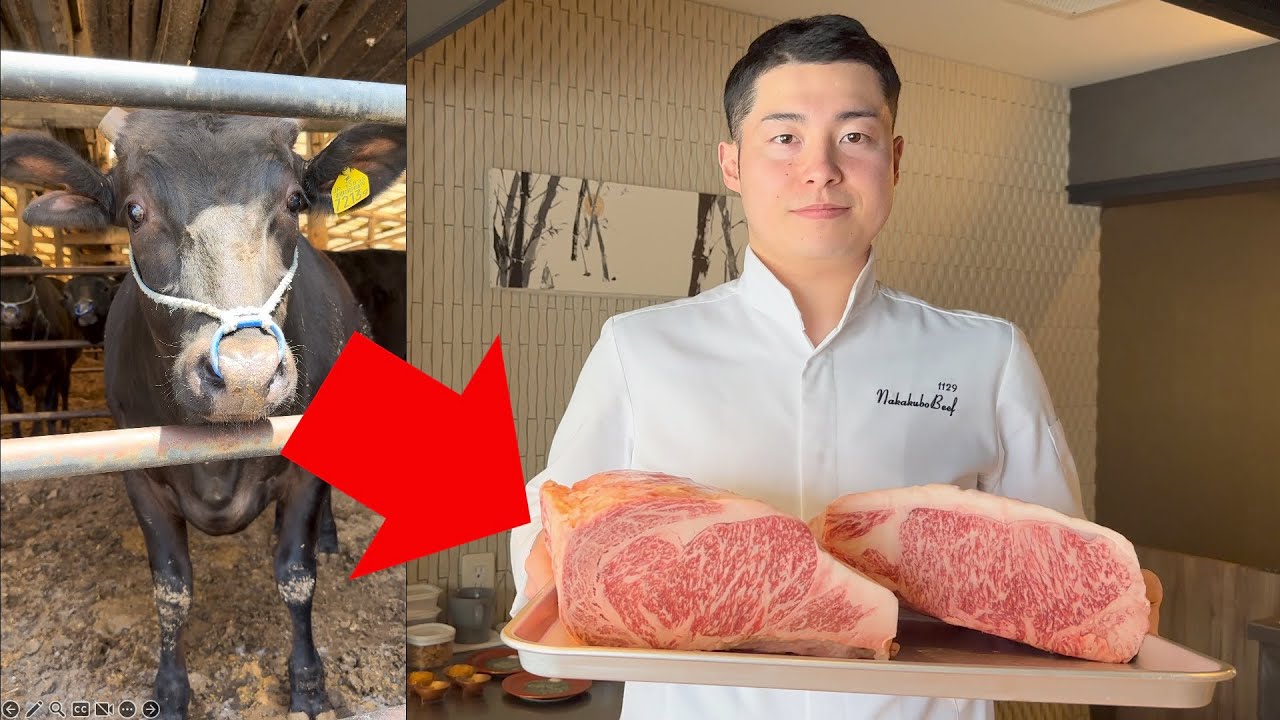 Visit production sites and learn about the process of WAGYU beef - New ...