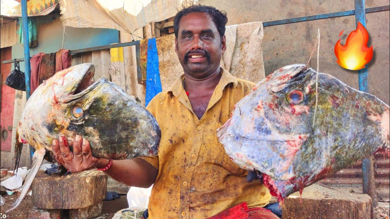 HUGE MAHI MAHI FISH HEAD CUTTING | KASIMEDU SELVAM FISH CUTTING💥| CKFC ...