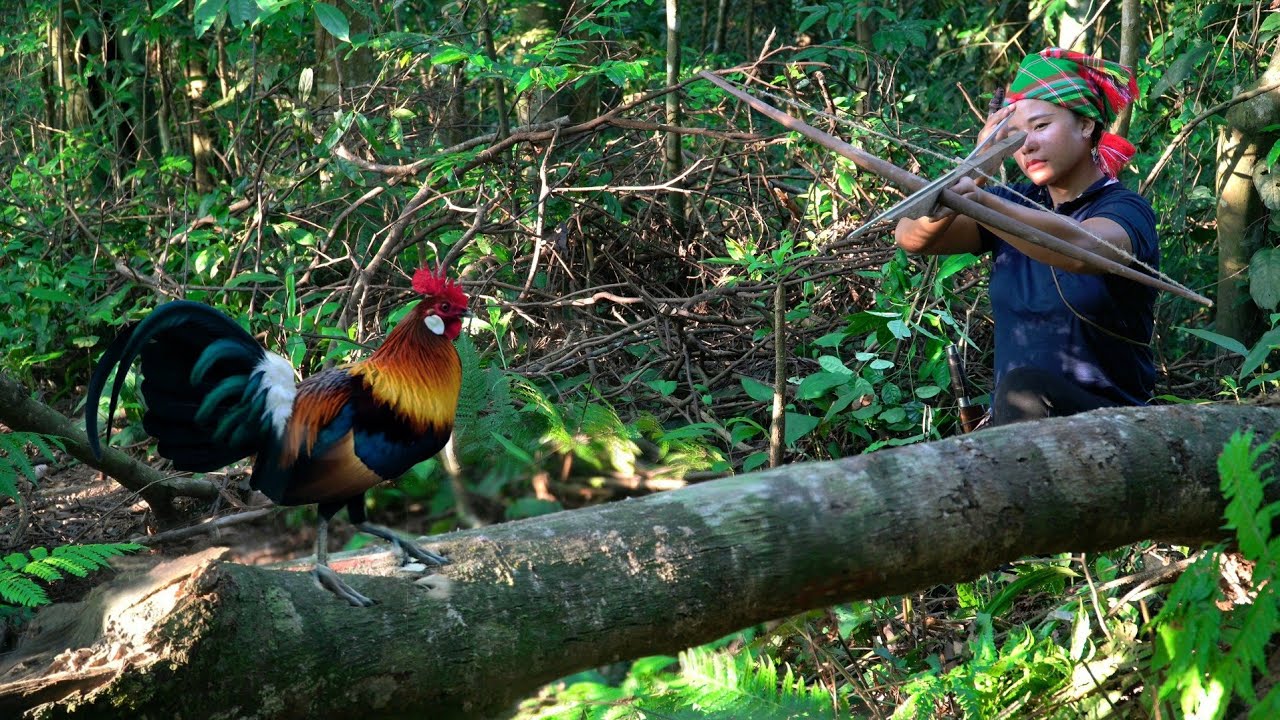 Wild chicken hunting skills, setting traps, processing wild chicken ...