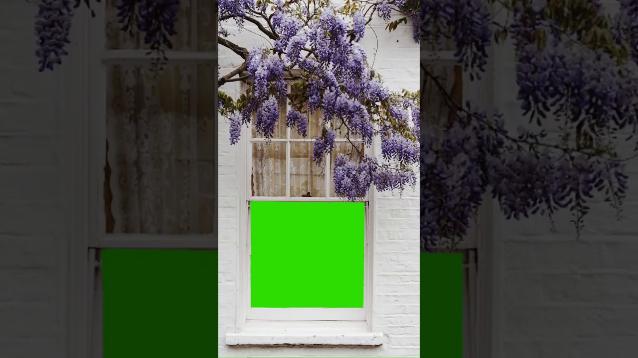 8 unique Windows green screen layout - YouTube