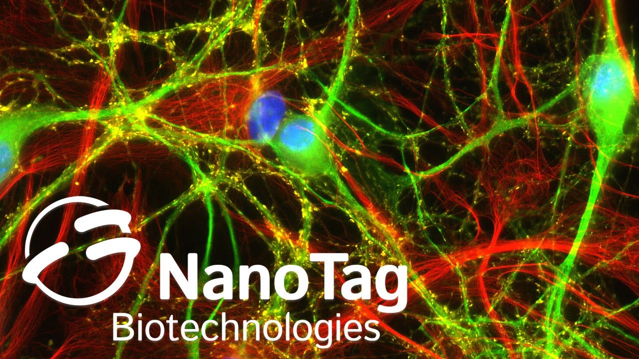 Species-independent Multiplexing using NanoTag’s Smart Secondaries ...
