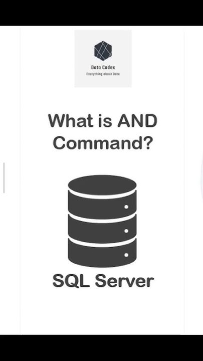 And Operator Sql Command Sql Server Datacodex Short Sqlserver Sqlforbeginners Youtube