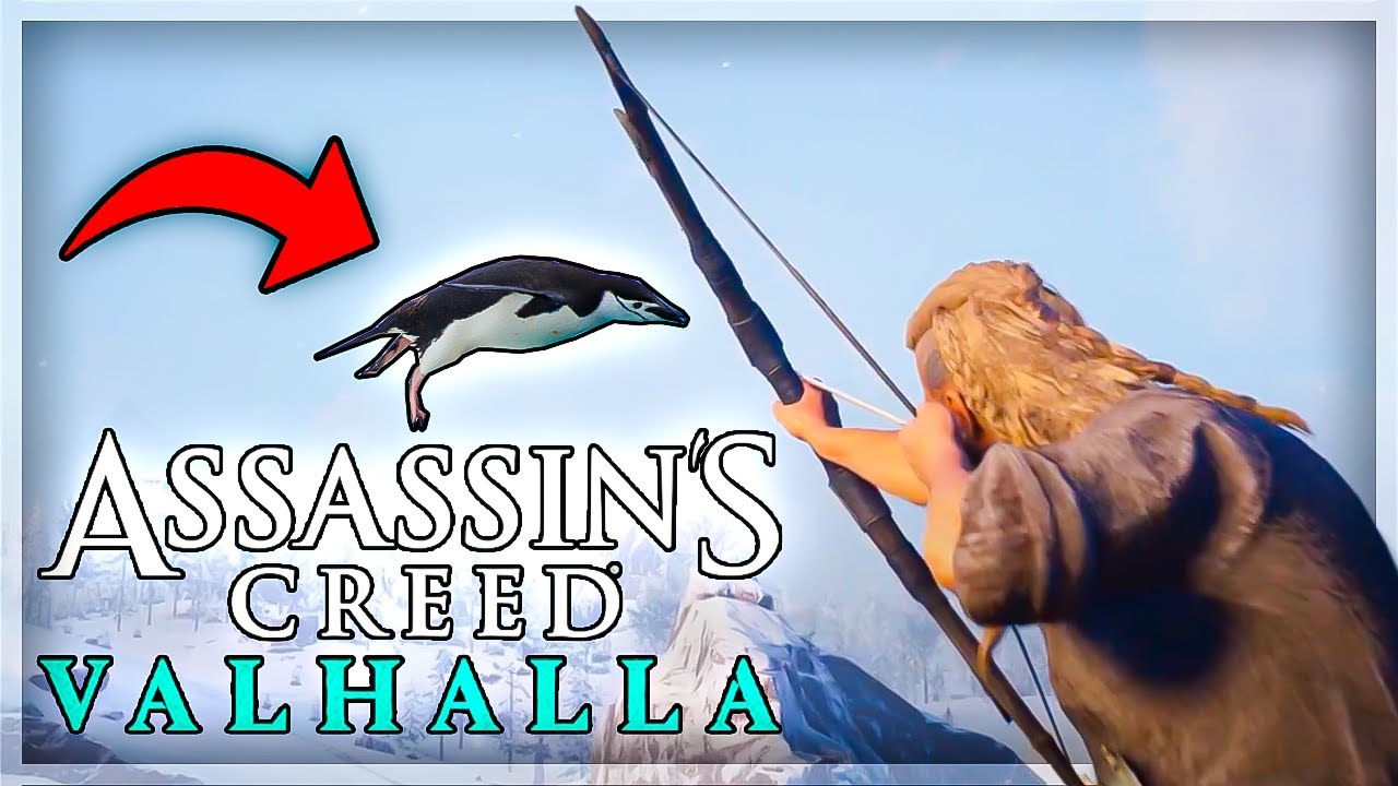 I KILLED A PENGUIN - Assassin's Creed Valhalla (Stream Highlights ...