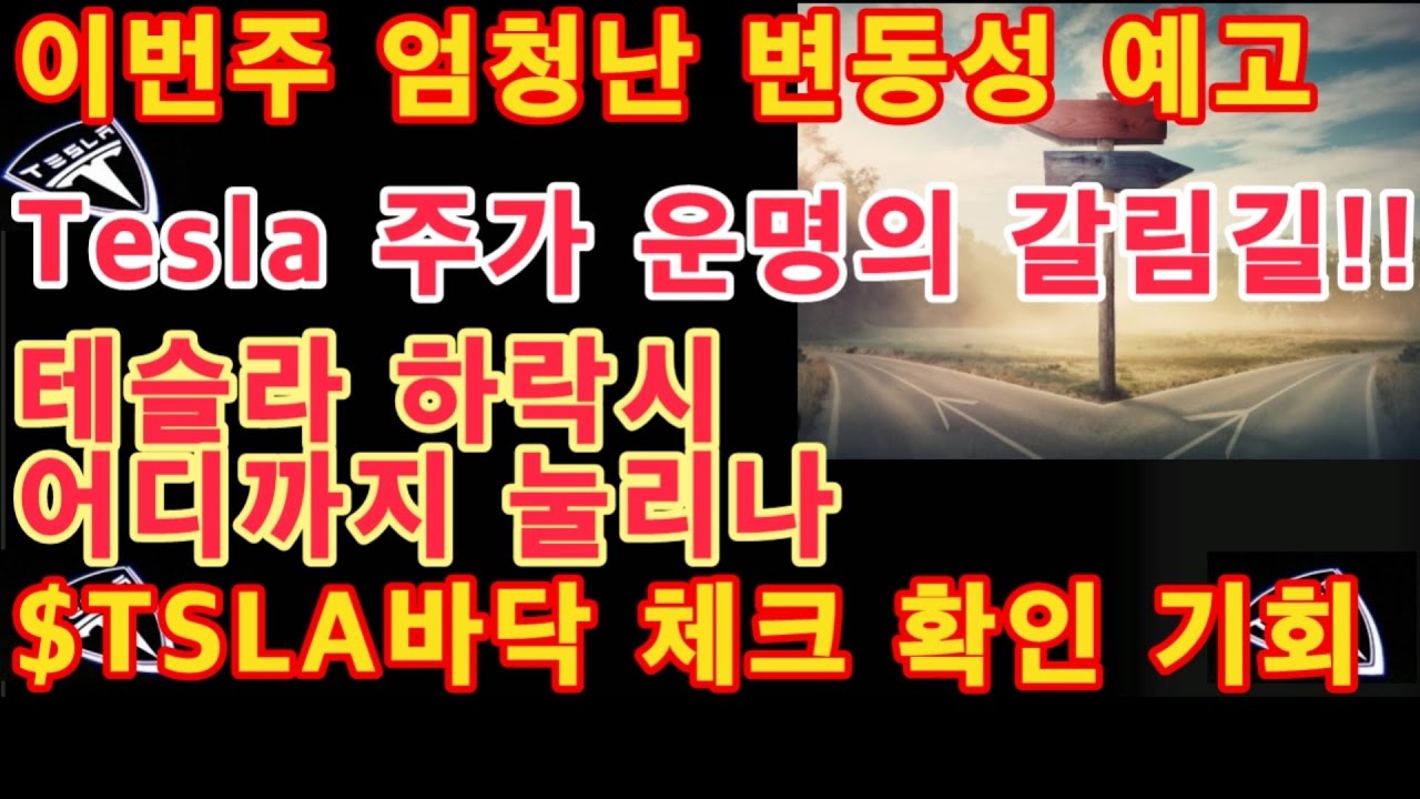 Tesla 주가 운명의 갈림길 이번주 엄청난 변동성 예고 테슬라 하락시 어디까지 눌리나 Tsla 차트 체크 Tsla 바닥 체크할 기회 테슬라 투자