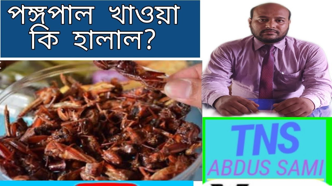 পঙ্গপাল খাওয়া কি হালাল? Is it Halal to eat Locust? - YouTube