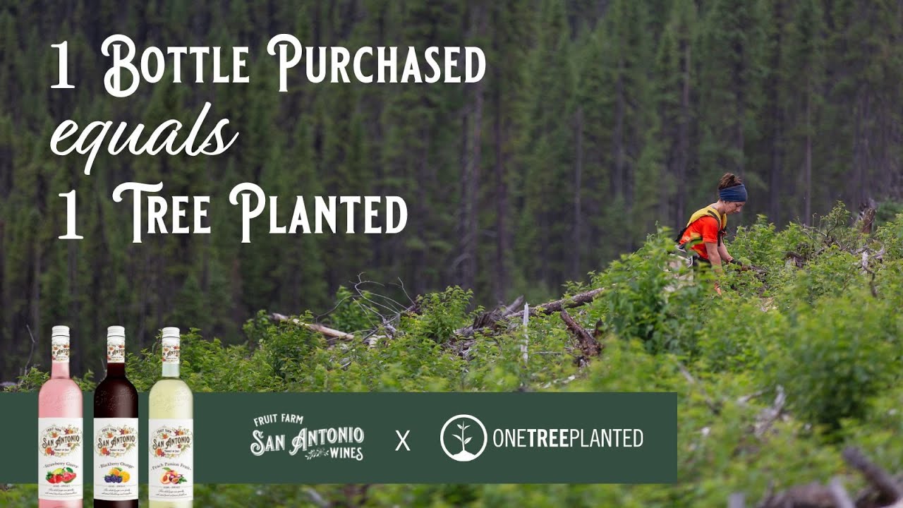 Fruit Farm Wines x One Tree Planted - YouTube