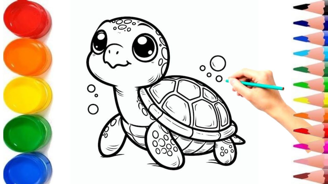 How to draw & colour"Baby tortoise"step by step for kids& toddlers# ...