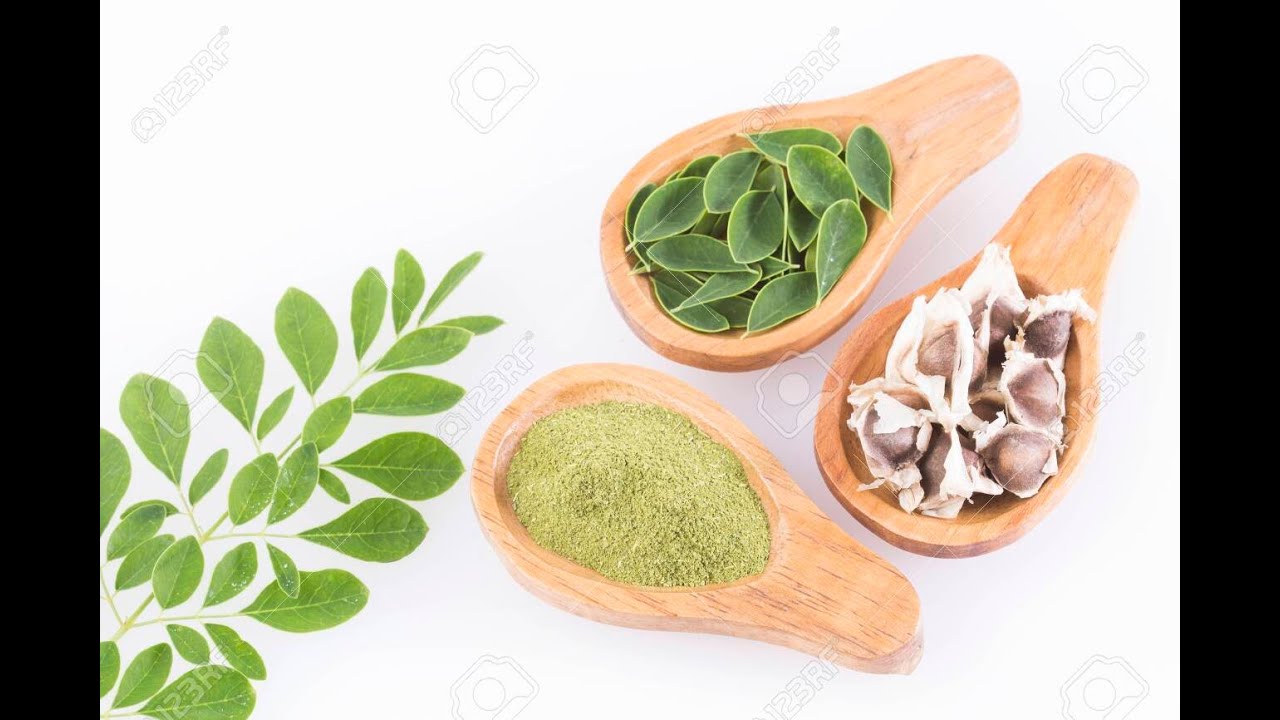 Moringa species diversity - YouTube