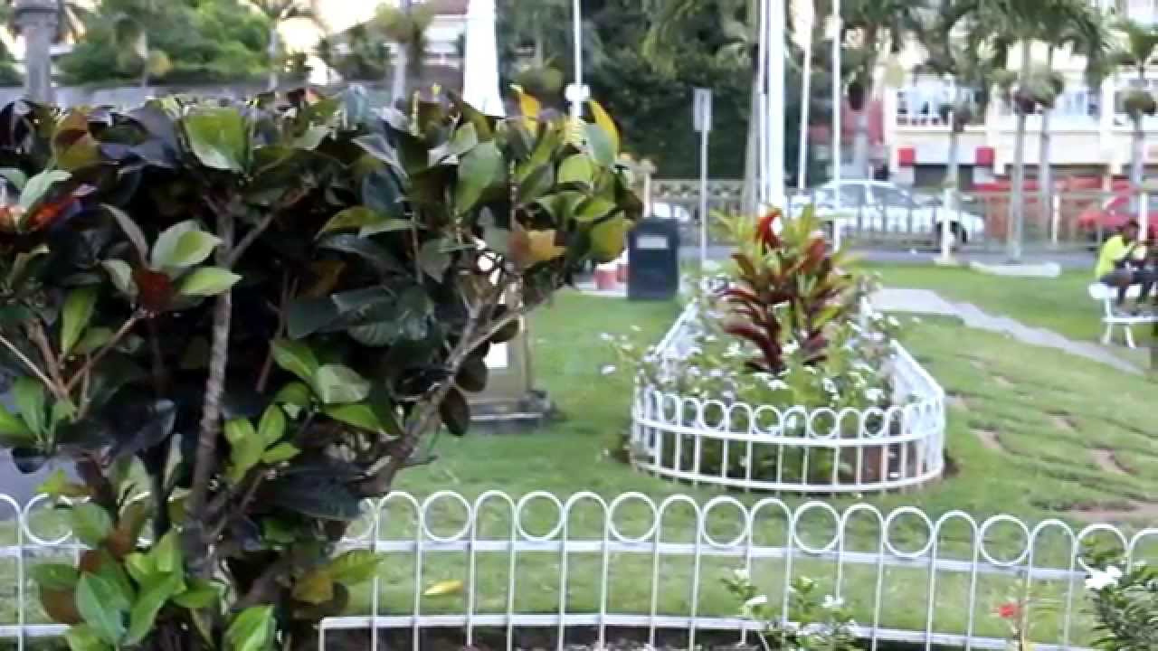 @ PLAZA BEAU BASSIN ROSE HILL - YouTube