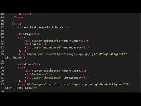 Endangered Animals Add Pictures (Web Development/Design - Unit 3 Lesson 4.6 - HTML Coding) - YouTube