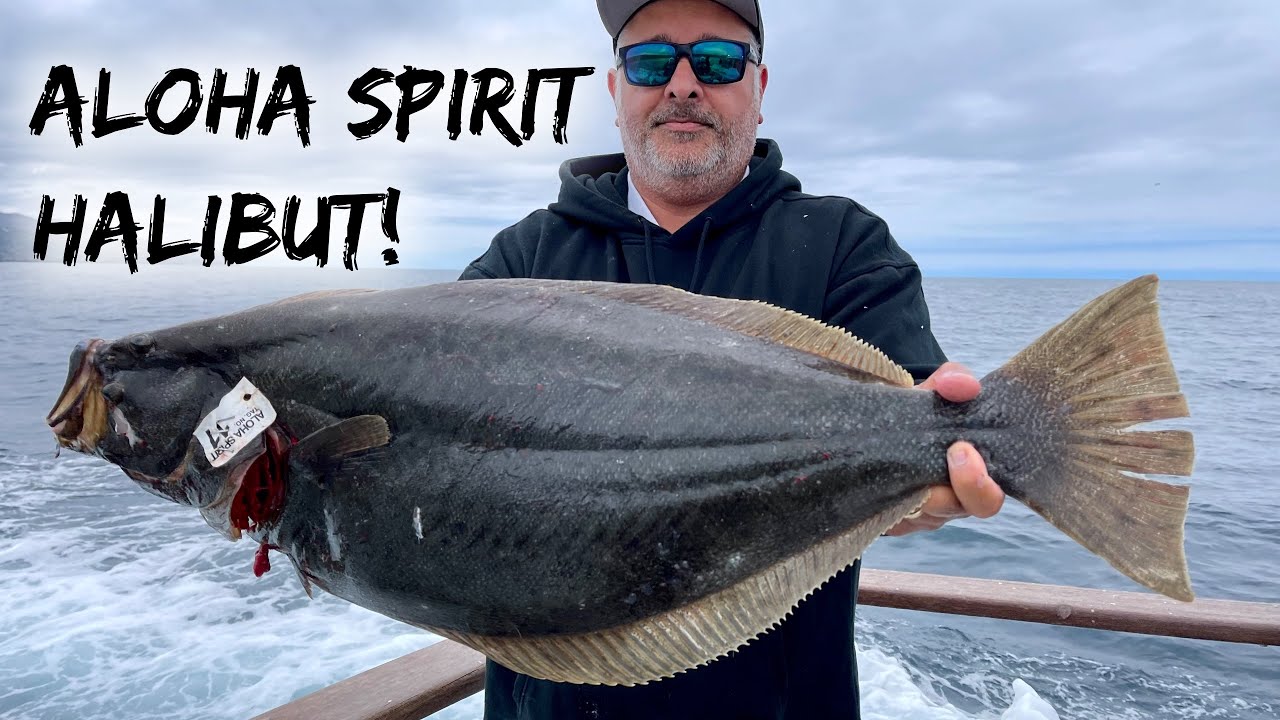 Halibut Fishing Aboard Aloha Spirit! - YouTube