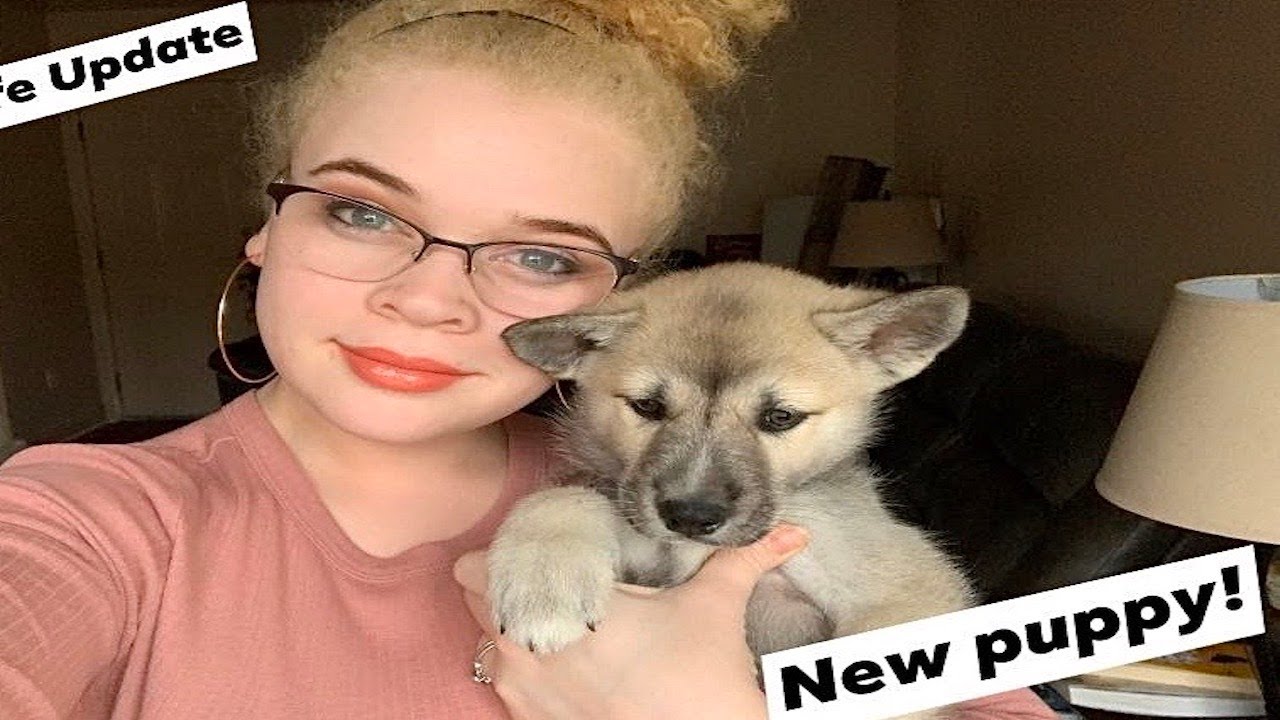 UPDATE || I Got a New Puppy! + Life Update - YouTube