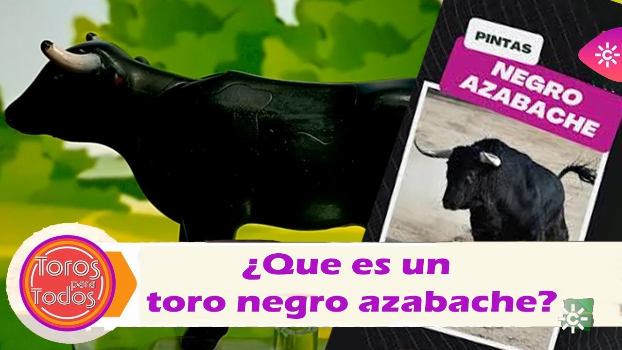¿Que es un toro negro azabache? Te lo explico con custom de playmobil ...