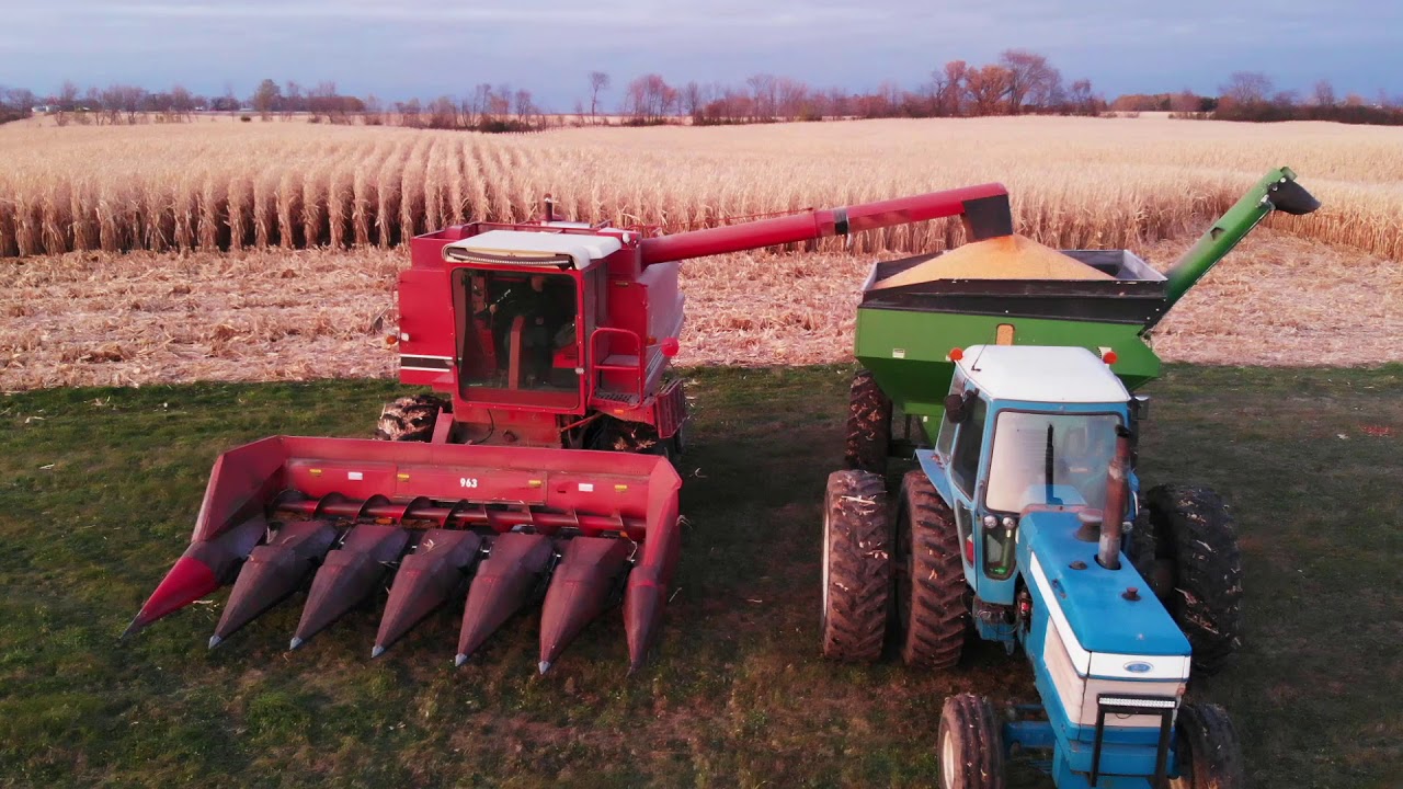 High Rollin Farms 2019 Harvest 1080P - YouTube
