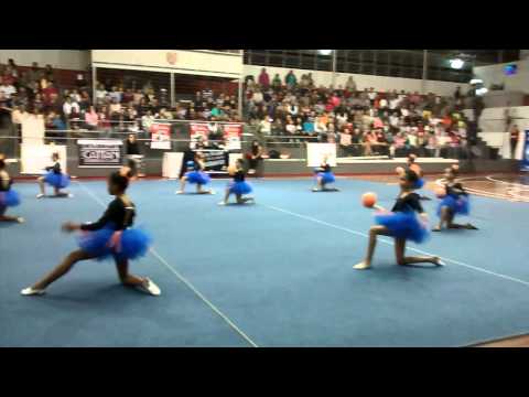 ALESSANDRA FERNANDO-11/08/14-THAINI GINASTICA RITMICA DE BRUSQUE