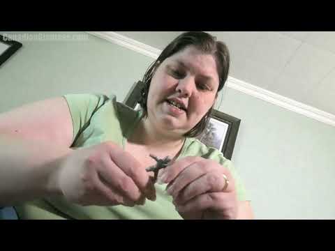 Canadian BBW Giantess trailer