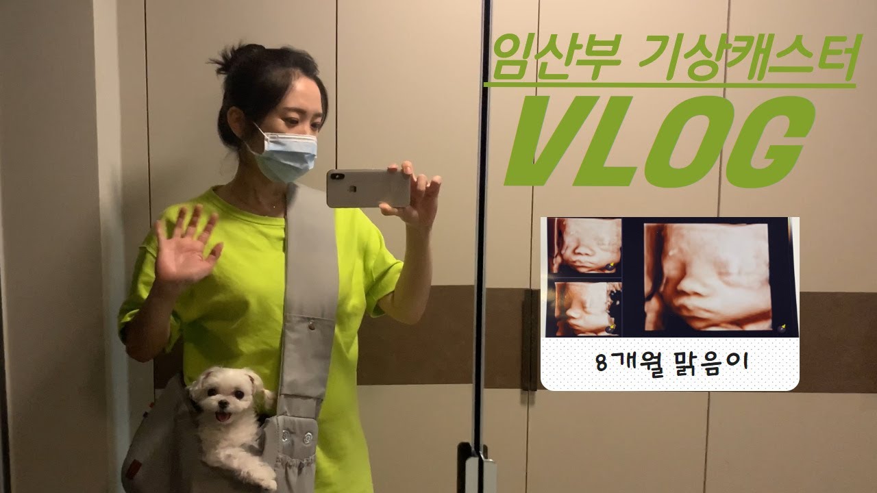 28주 차 임산부 기상캐스터 Vlog 자유임산부시작참치마요덮밥입체초음파정밀검사손목운동팔운동키즈카페슬라임이사갈집