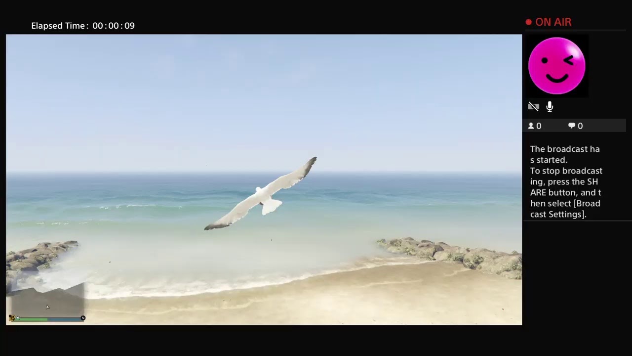 Gta 5 being a bird - YouTube