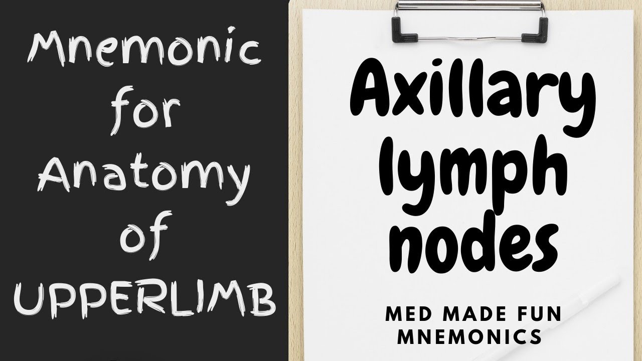 mnemonic for axillary lymph nodes | upperlimb | anatomy mnemonics ...