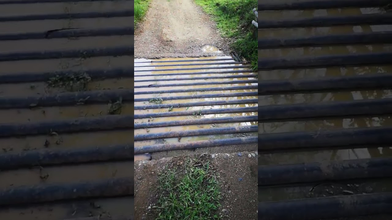 QUIEBRA PATAS - YouTube