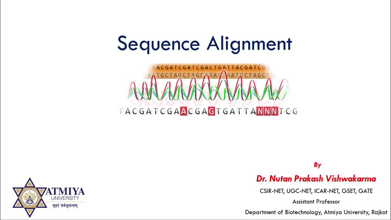 Bioinformatics: Sequence Alignment Part 3 (Needleman Wunsch Algorithm) - YouTube