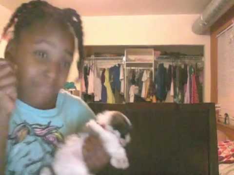 fake dog forreal - YouTube