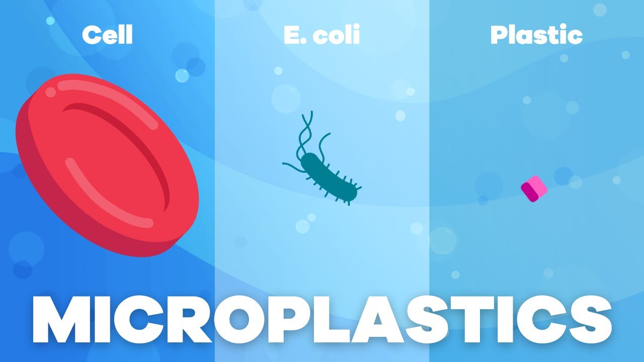 Quick Guide to Microplastics in Drinking Water - YouTube