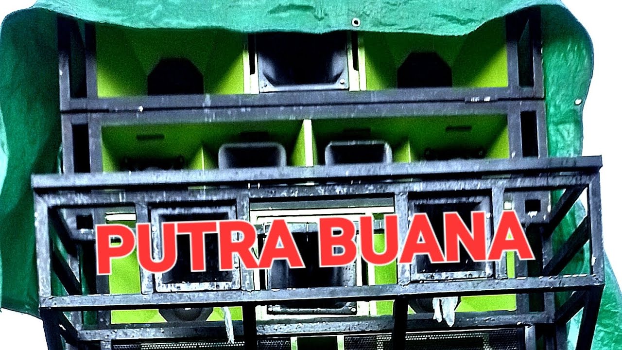 [PUTRA BUANA]live sisik Goak...dengan tembang lagu DJ RUNTAH....Hujan ...