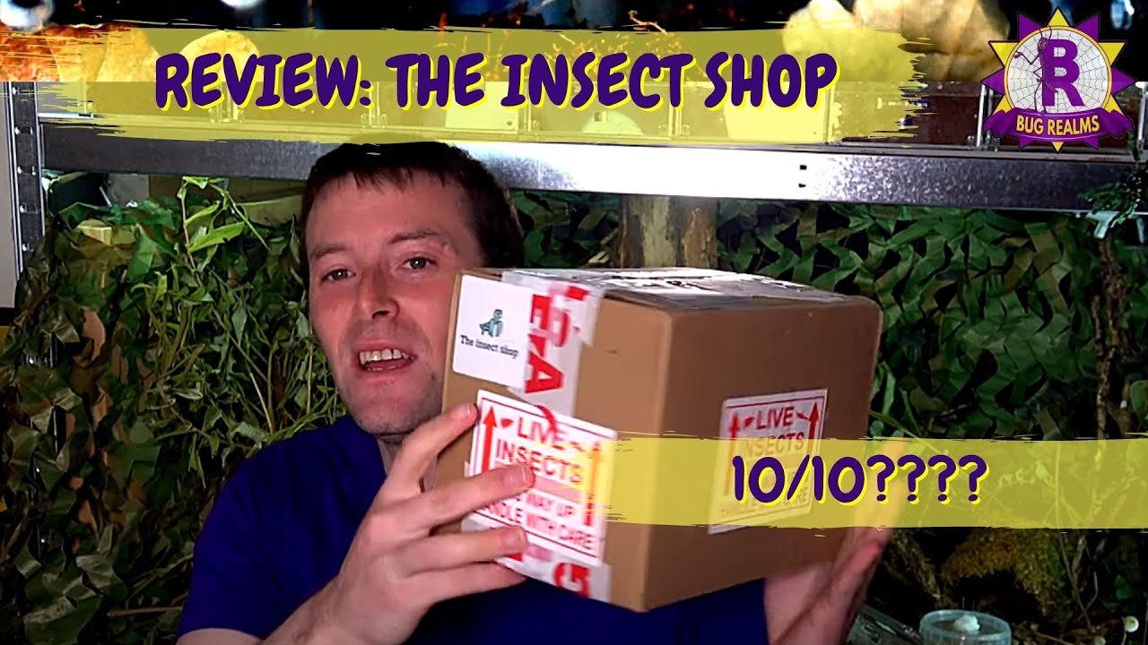 UNBOXING & REVIEW from The Insect Shop! - YouTube