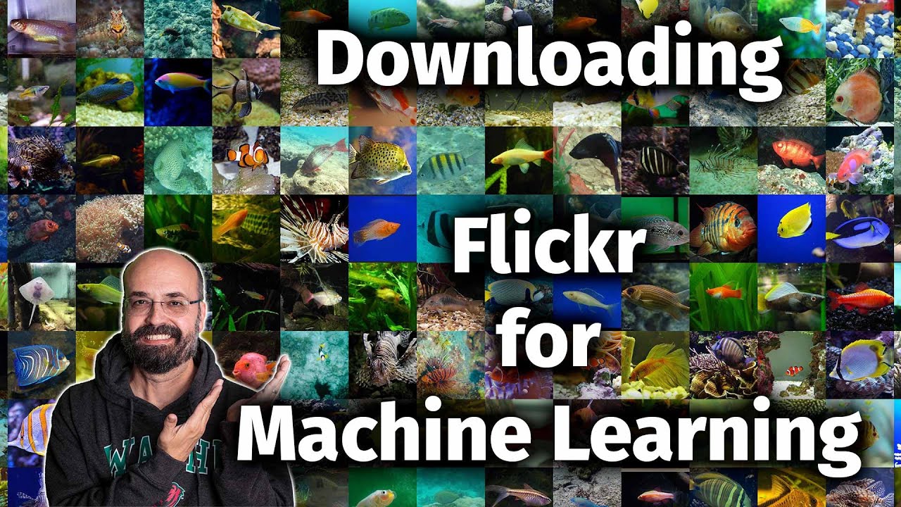 How To Download Flickr Images By Keyword For Machine Learning Projects How To Download Flickr Images By Keyword For Machine Learning Projects