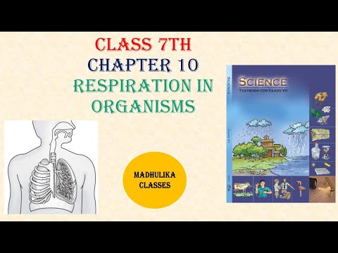chapter 10 RESPIRATION IN ORGANISMS class 7th science from NCERT - YouTube