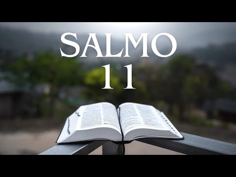 Salmo 11 - Refúgio em Deus 📖 - YouTube