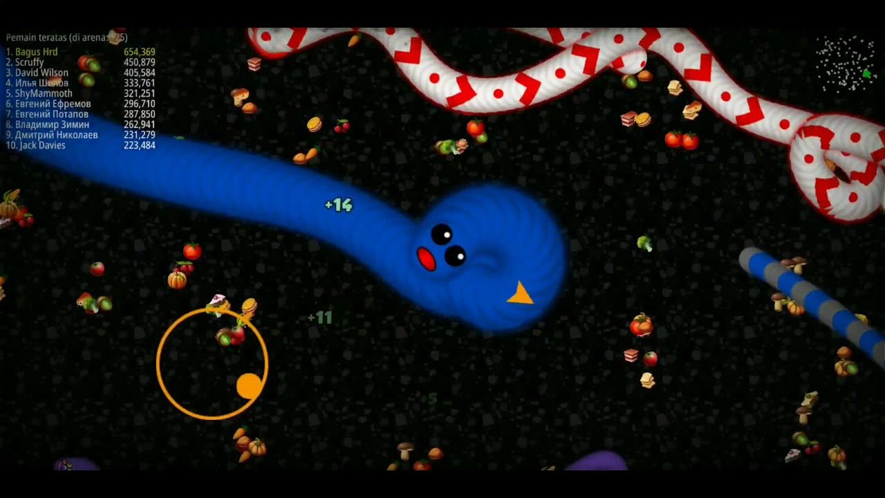 Cacing biru - YouTube