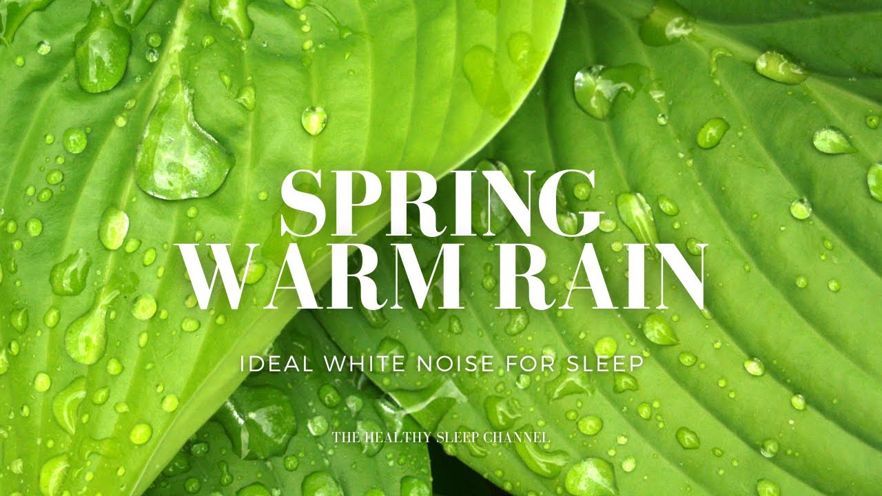 Early spring rain on leaves | 8 o'clock white noise of rain falling on ...